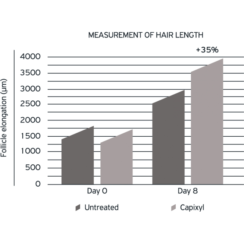 TUFFÉNE HAIR NOURISHING MASK - Bochery